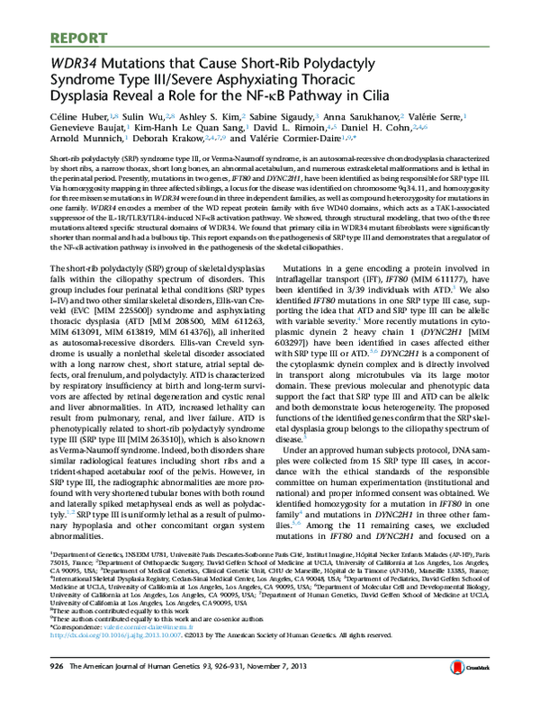 (PDF) WDR34 Mutations that Cause Short-Rib Polydactyly Syndrome Type ...
