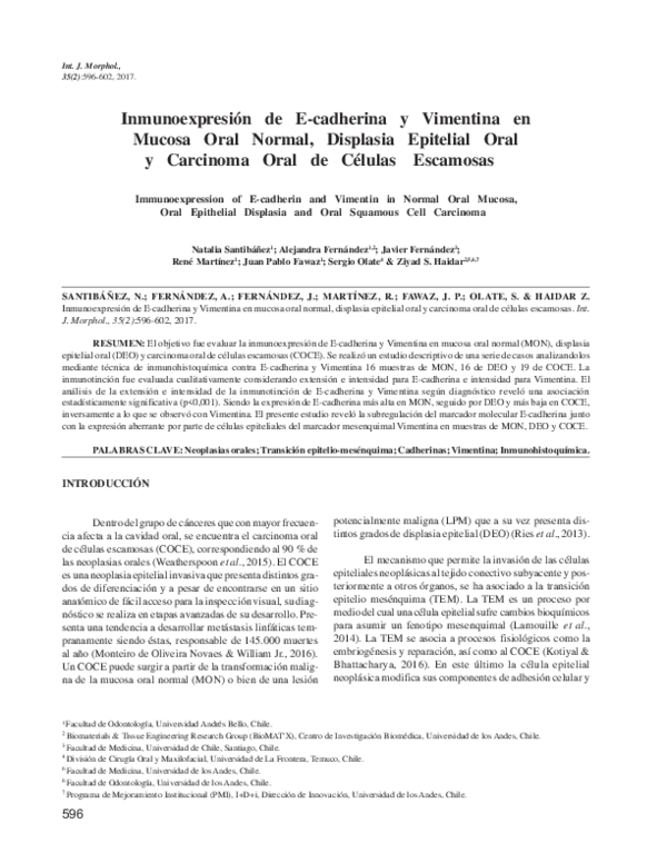 (PDF) Inmunoexpresión de E-cadherina y Vimentina en Mucosa Oral Normal ...