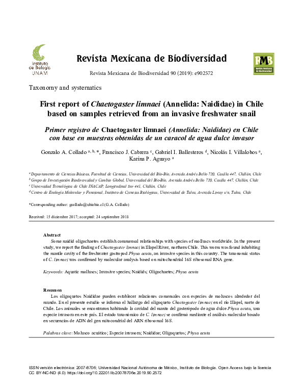 (PDF) First report of Chaetogaster limnaei (Annelida: Naididae) in ...