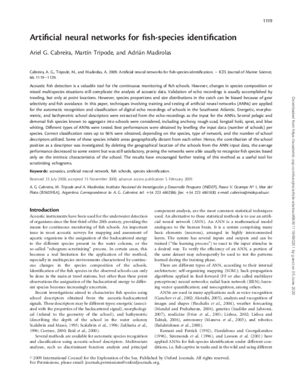 (PDF) Artificial neural networks for fish-species identification