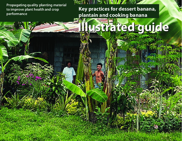 (PDF) Propagating quality planting material to improve plant health and ...