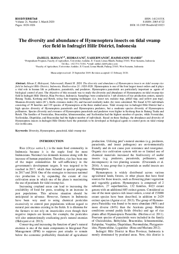 (PDF) The The diversity and abundance of Hymenoptera insects on tidal ...