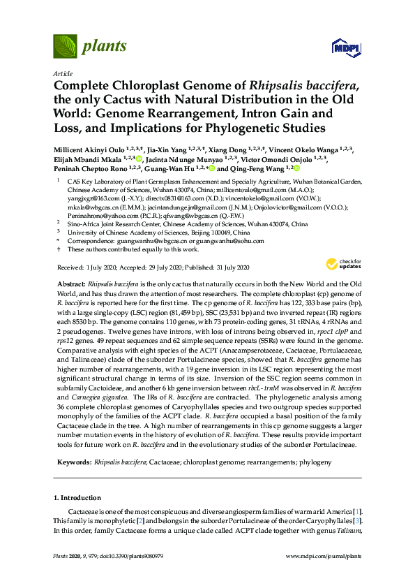 (PDF) Complete Chloroplast Genome of Rhipsalis baccifera, the only ...