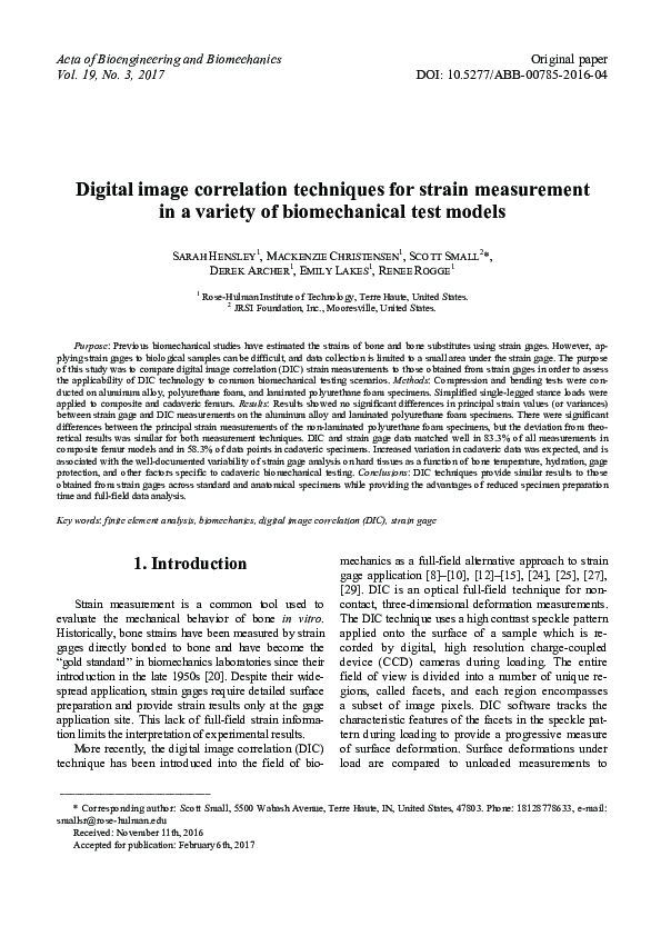 (PDF) Digital image correlation techniques for strain measurement in a ...