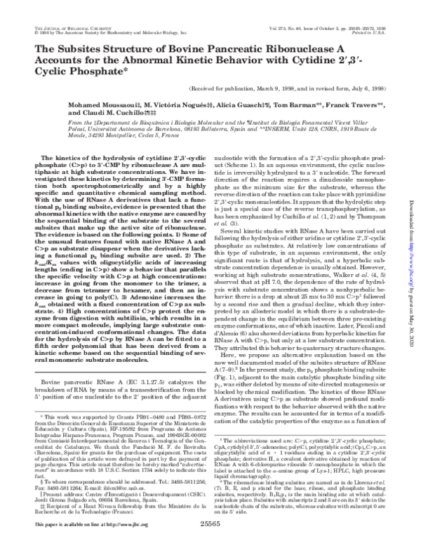 (PDF) The subsites structure of bovine pancreatic ribonuclease A ...