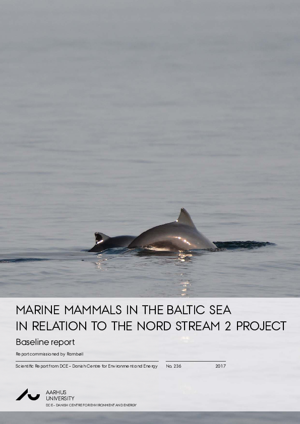 (PDF) MARINE MAMMALS IN THE BALTIC SEA IN RELATION TO THE NORD STREAM 2 ...