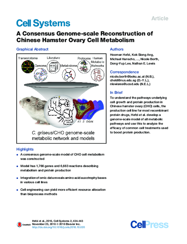 (PDF) A Consensus Genome-scale Reconstruction of Chinese Hamster Ovary ...