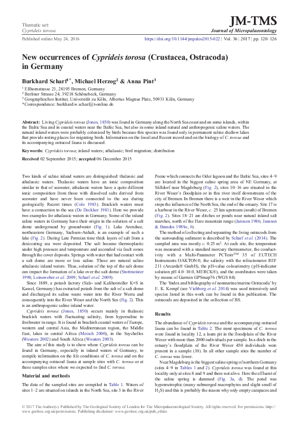 (PDF) New occurrences ofCyprideis torosa(Crustacea, Ostracoda) in Germany