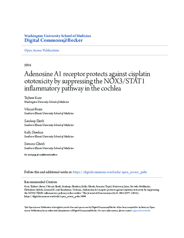 (PDF) Adenosine A1 Receptor Protects Against Cisplatin Ototoxicity by ...