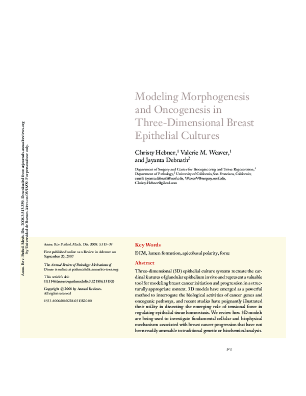 (PDF) Modeling Morphogenesis and Oncogenesis in Three-Dimensional ...