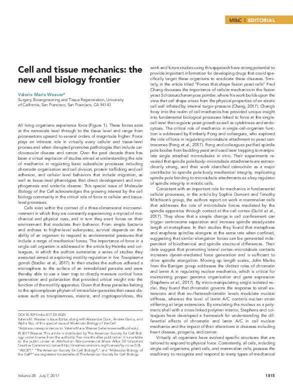 (PDF) Cell and tissue mechanics: the new cell biology frontier