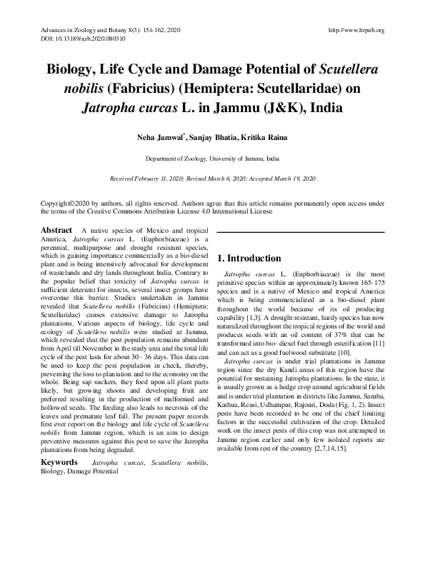 (PDF) Biology, Life Cycle and Damage Potential of Scutellera nobilis ...