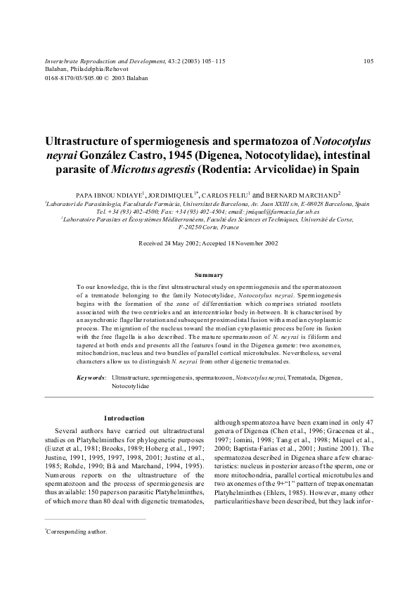 (PDF) Ultrastructure of spermiogenesis and spermatozoa of Notocotylus ...
