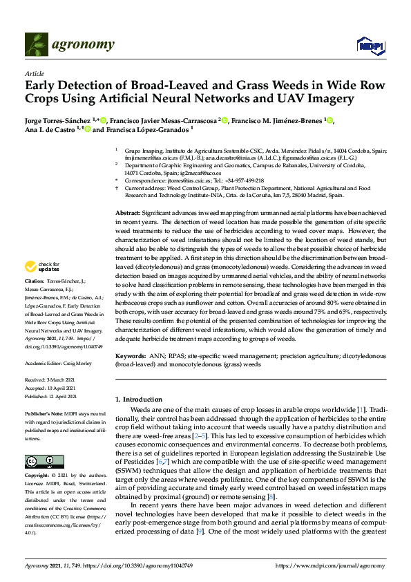 Pdf Early Detection Of Broad Leaved And Grass Weeds In Wide Row Crops Using Artificial Neural