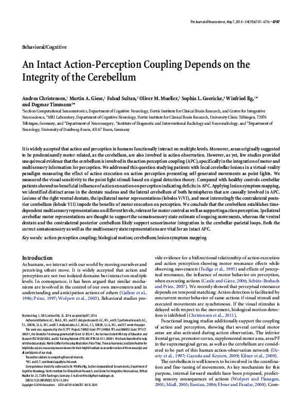 (PDF) An Intact Action-Perception Coupling Depends on the Integrity of ...