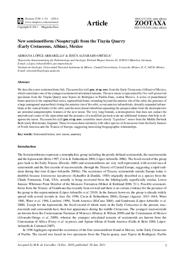 (PDF) New semionotiform (Neopterygii) from the Tlayúa Quarry