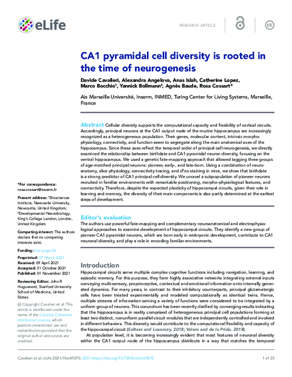(PDF) CA1 pyramidal cell diversity is rooted in the time of neurogenesis