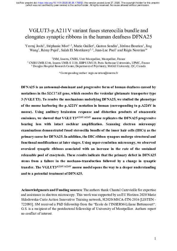 (PDF) VGLUT3-p.A211V variant fuses stereocilia bundle and elongates ...