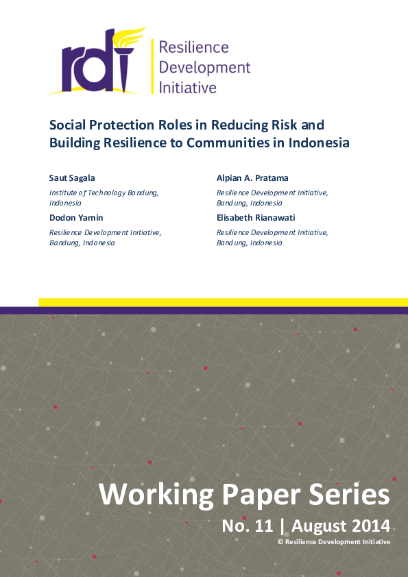 (PDF) Social Protection Roles in Reducing Risk and Building Resilience ...