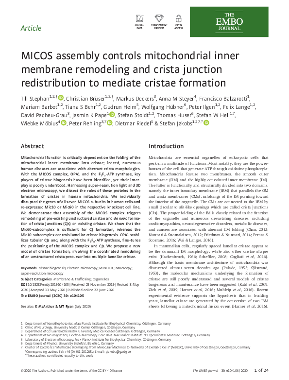 (PDF) MICOS assembly controls mitochondrial inner membrane remodeling ...
