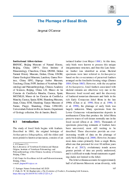 (PDF) The Plumage of Basal Birds
