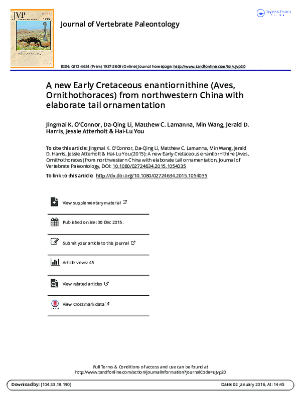 (PDF) A new Early Cretaceous enantiornithine (Aves, Ornithothoraces ...