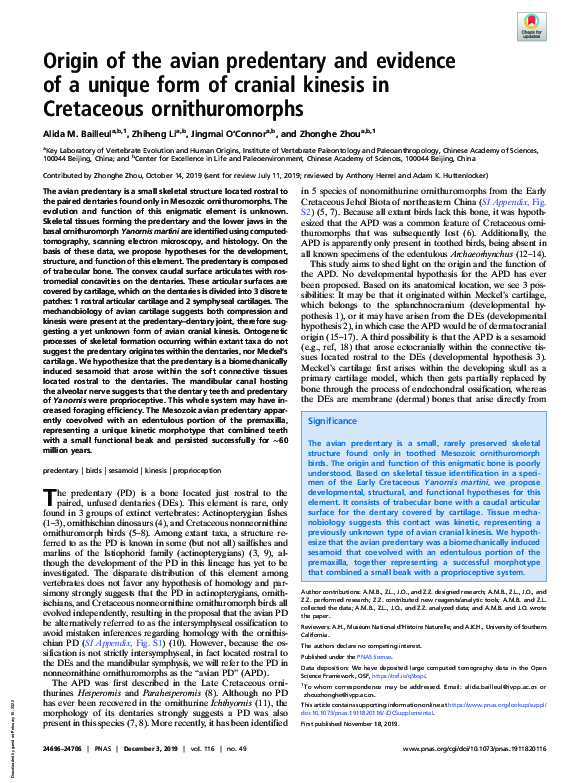 (PDF) Origin of the avian predentary and evidence of a unique form of ...