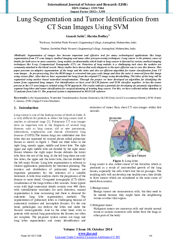 Pdf Lung Segmentation And Tumor Identification From Ct Scan Images
