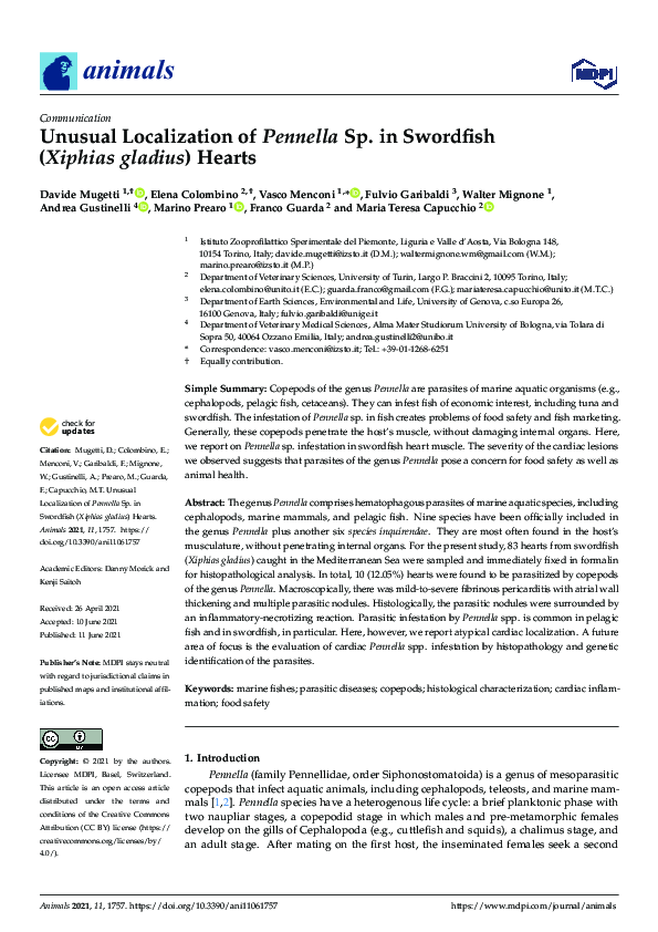 (PDF) Unusual Localization of Pennella Sp. in Swordfish (Xiphias ...