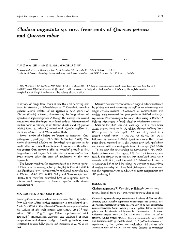(PDF) Chalara angustata sp. nov. from roots of Quercus petraea and ...