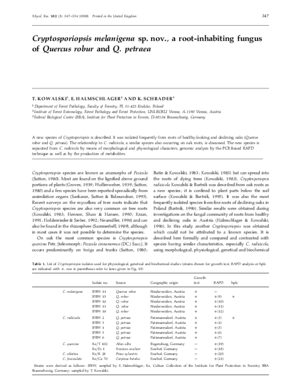 (PDF) Cryptosporiopsis melanigena sp. nov., a root-inhabiting fungus of ...