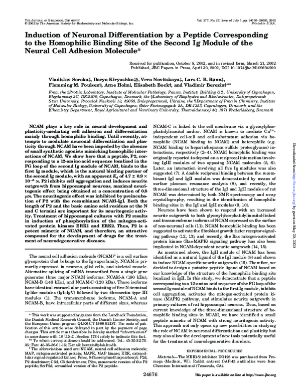 (PDF) Induction of Neuronal Differentiation by a Peptide Corresponding ...