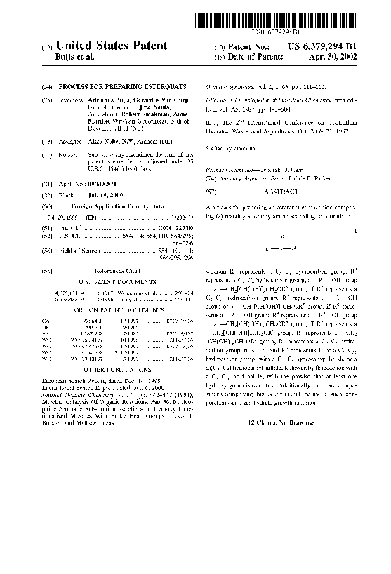 (PDF) United States Patent Buijs