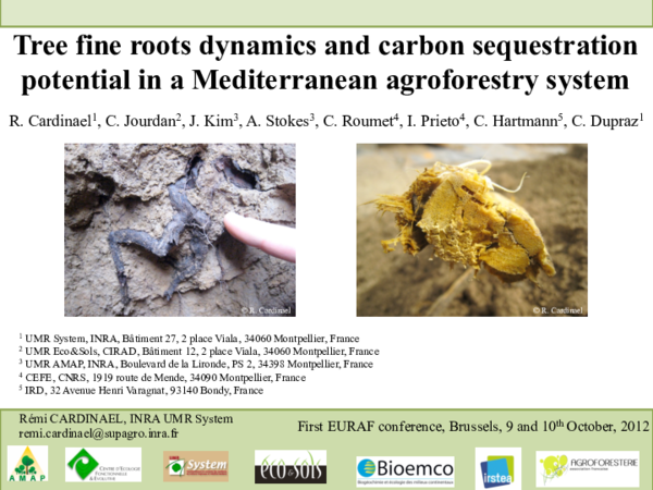 (PDF) Tree fine roots dynamics and carbon sequestration potential in a ...