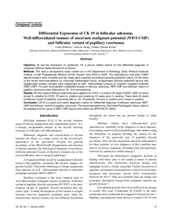 (PDF) Differential expression of CK 19 in follicular adenoma, well ...