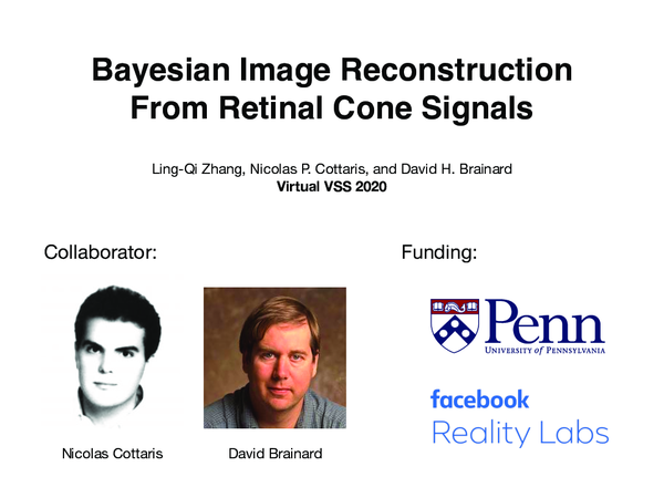 (PDF) Bayesian Image Reconstruction from Retinal Cone Signals