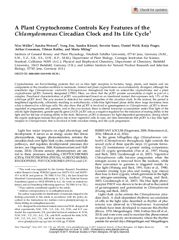(PDF) A Plant Cryptochrome Controls Key Features of the Chlamydomonas ...