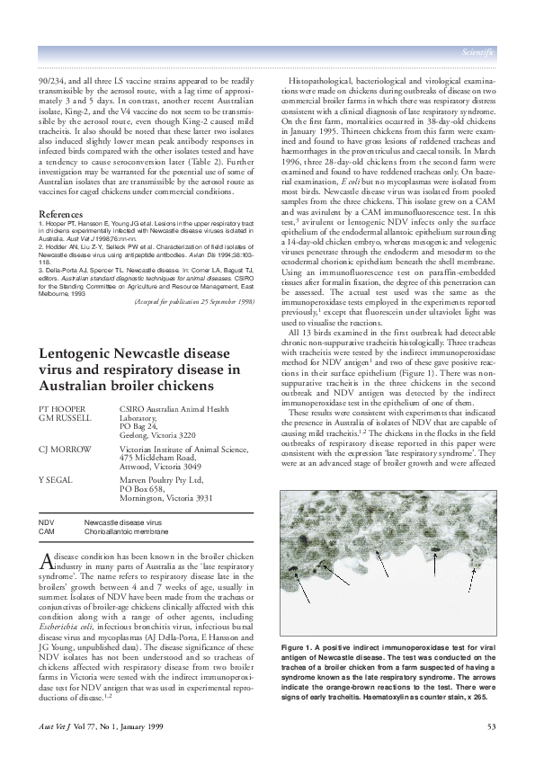 (PDF) Lentogenic Newcastle disease virus and respiratory disease in ...