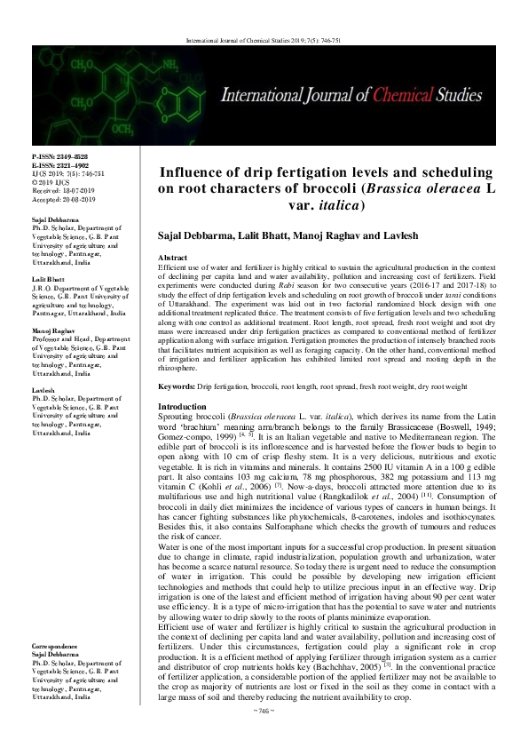 (PDF) Influence of drip fertigation levels and scheduling on root ...