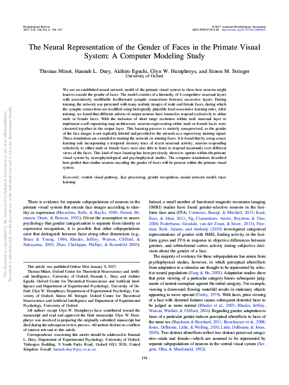 (PDF) The neural representation of the gender of faces in the primate visual system: A computer ...