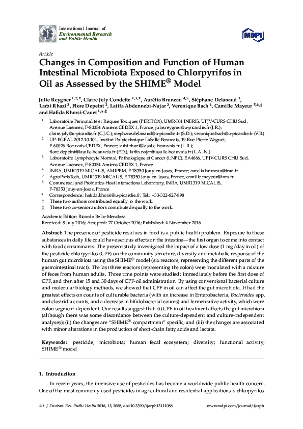 (PDF) Changes in Composition and Function of Human Intestinal ...