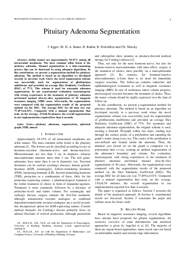 (PDF) Pituitary Adenoma Segmentation