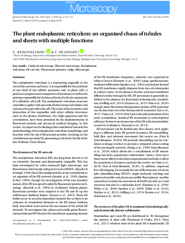 (PDF) The plant endoplasmic reticulum: an organized chaos of tubules ...