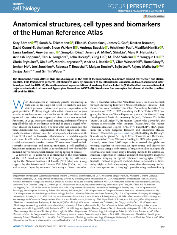 (PDF) Anatomical structures, cell types and biomarkers of the Human ...