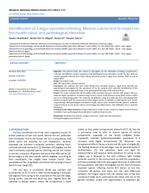 (PDF) Identification of Caligus parasites infesting Morone Labrax and ...