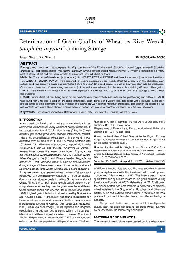 (PDF) Deterioration of Grain Quality of Wheat by Rice Weevil ...