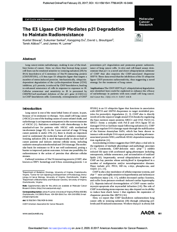 (PDF) CHIP E3 Ligase Regulates p21 in Lung Cancer