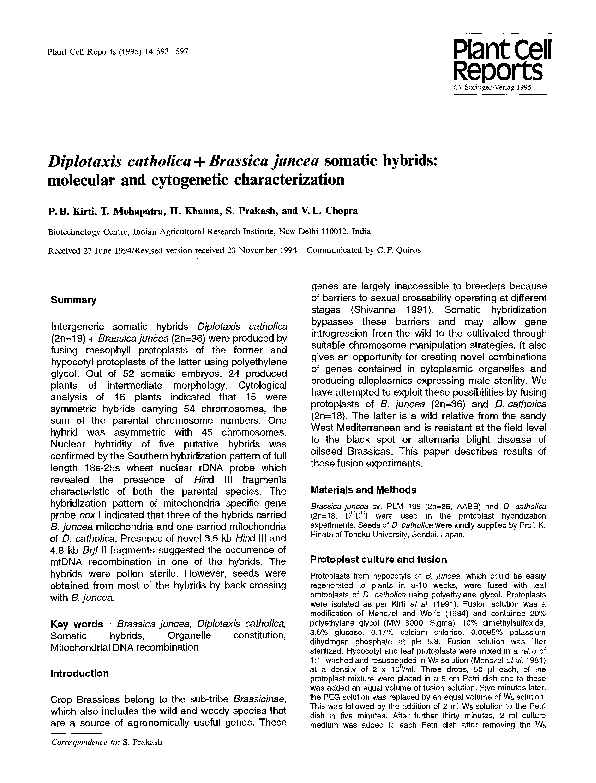 (PDF) Diplotaxis catholica+ Brassica juncea somatic hybrids: molecular ...