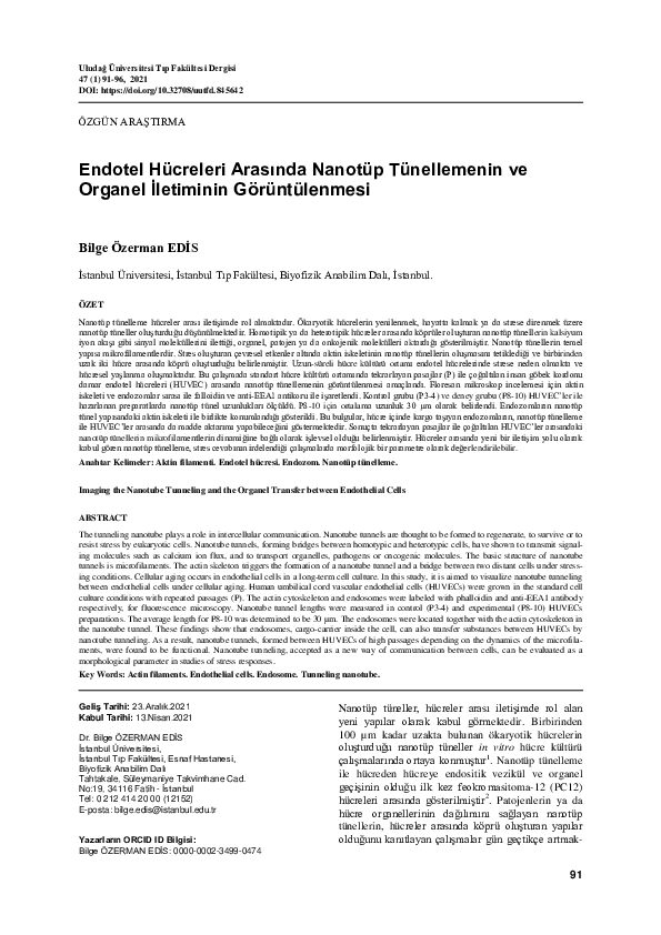 (PDF) Endotel Hücreleri Arasında Nanotüp Tünellemenin ve Organel ...