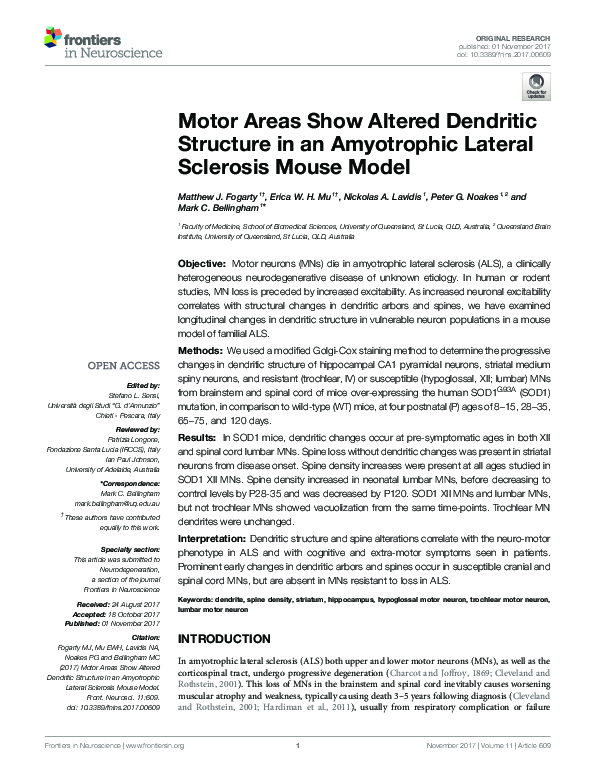 (PDF) Motor Areas Show Altered Dendritic Structure in an Amyotrophic ...